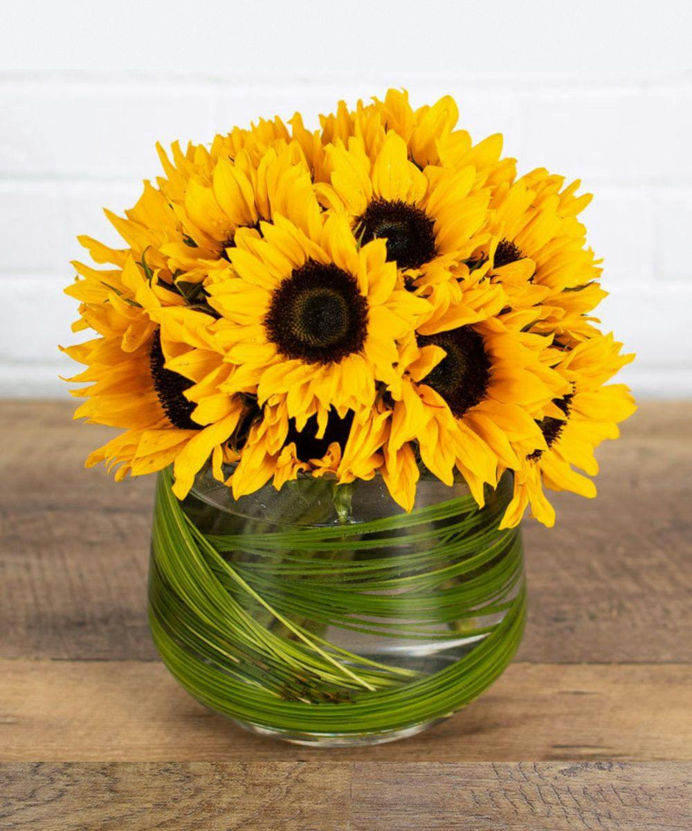 Ya-Ya Sunflowers - QG Floral - Whitestone NY